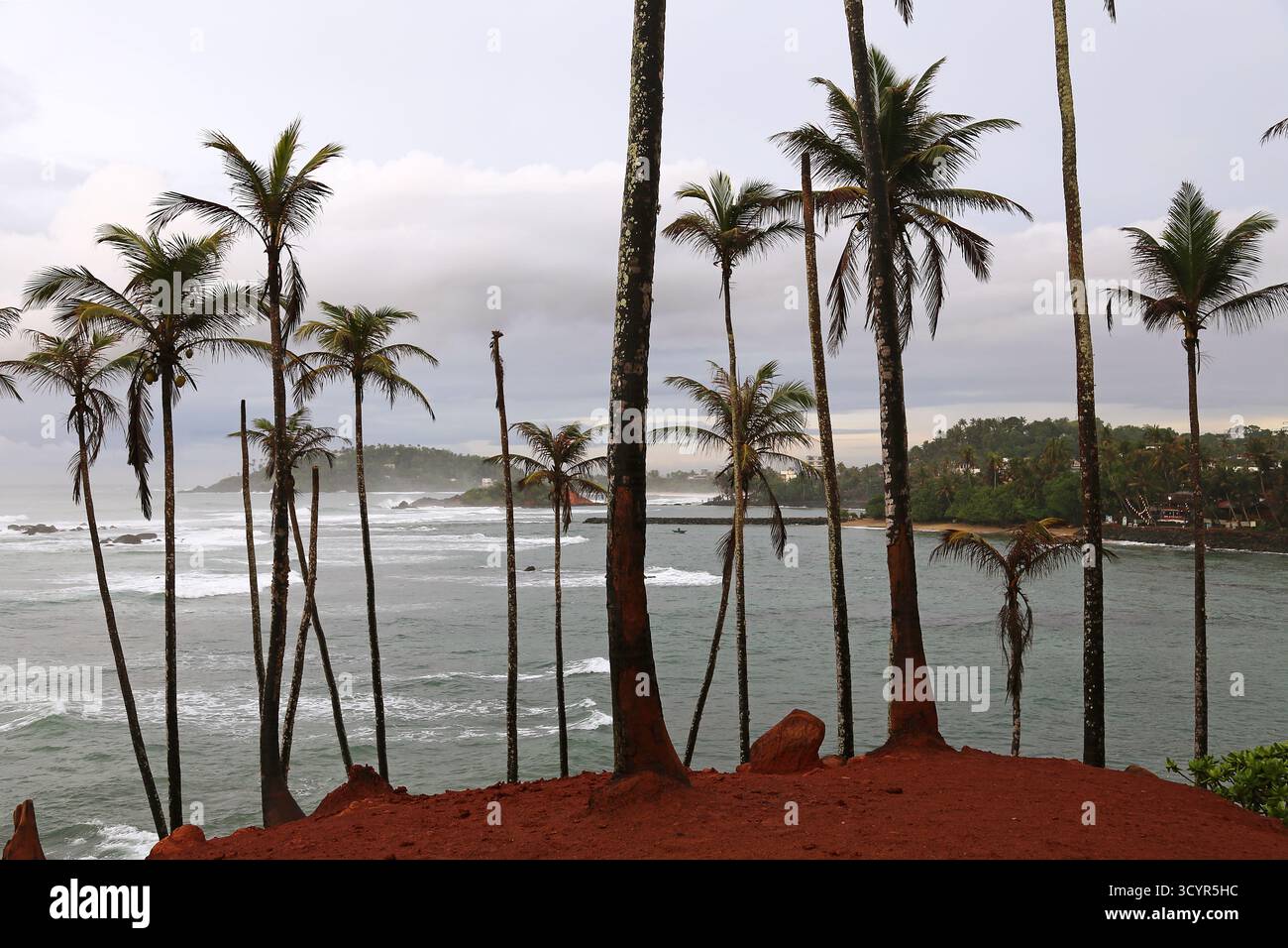 Coconut Tree Hill at dawn, Turtle Beach, Mirissa, Matara District ...