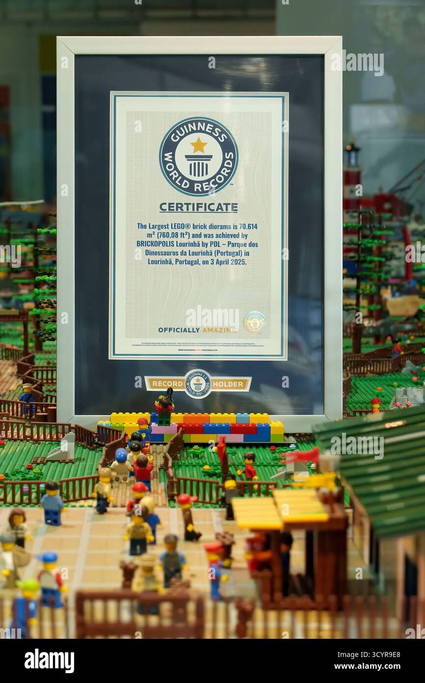 Guinness World Records certificate for largest LEGO diorama at ...