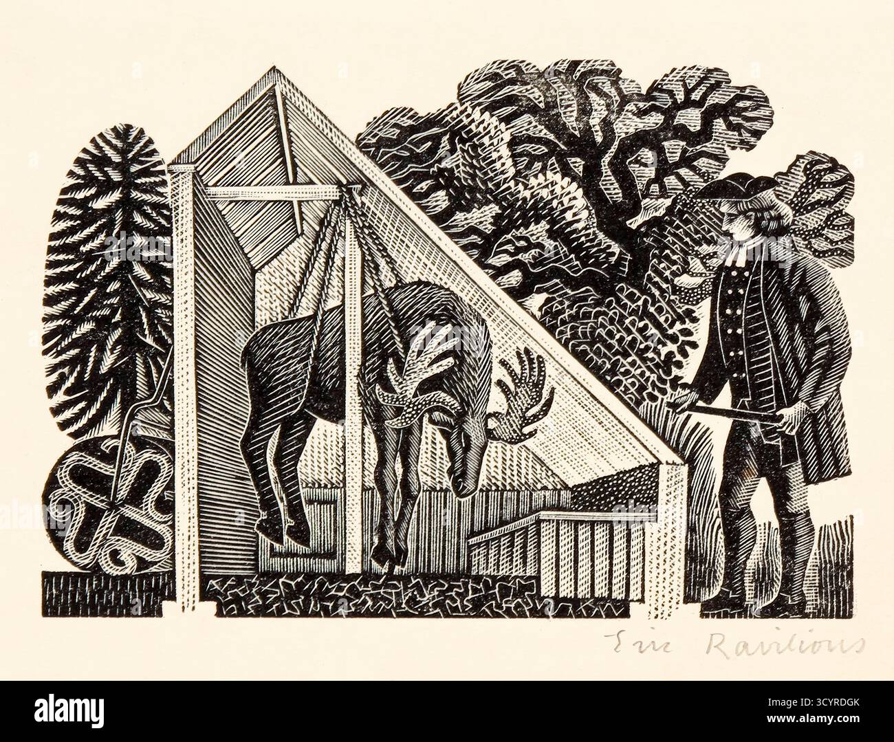 Eric Ravilious, Moose, woodcut print, 1938 Stock Photo - Alamy