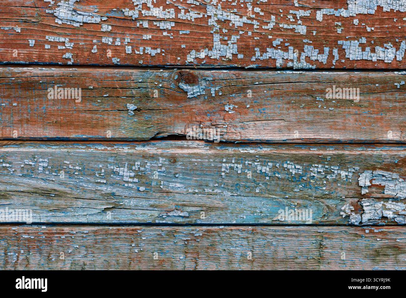 Weathered wooden boards with cracked surface and peeling blue paint ...