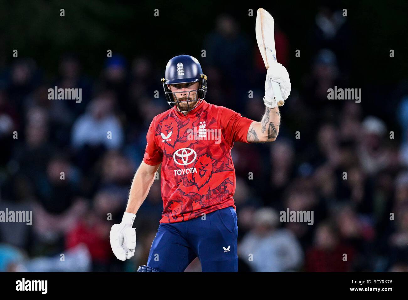 Englands' Phil Salt celebrates making 50 runs against New Zealand ...