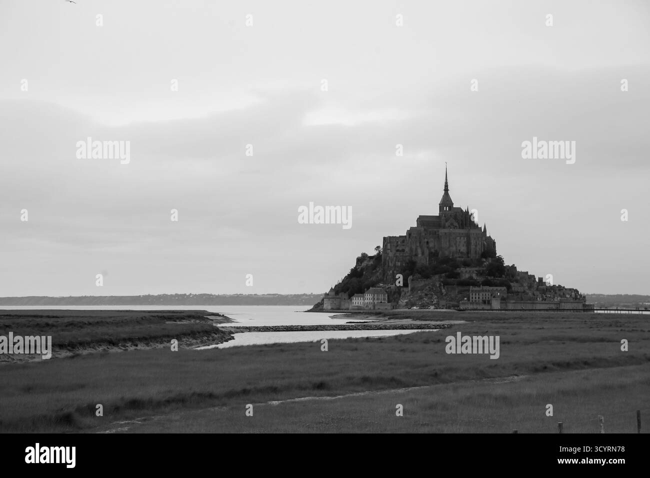 Neighborhood badge Black and White Stock Photos & Images - Alamy