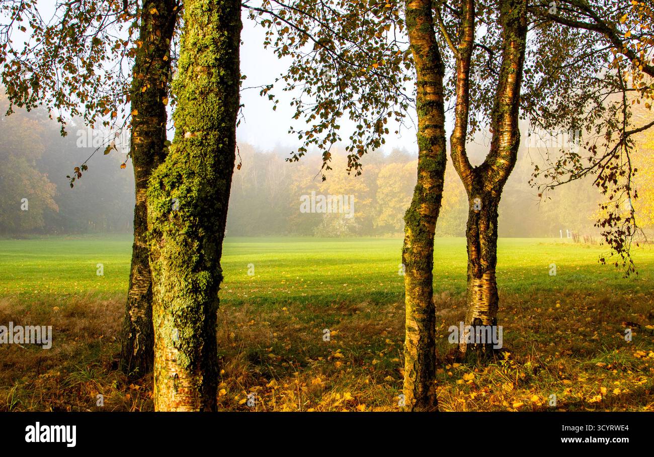 Dundee, Tayside, Scotland, UK. 20th Oct, 2025. UK Weather: The eerie ...