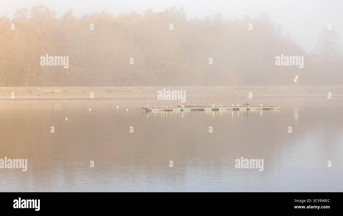 Dundee, Tayside, Scotland, UK. 20th Oct, 2025. UK Weather: The eerie ...