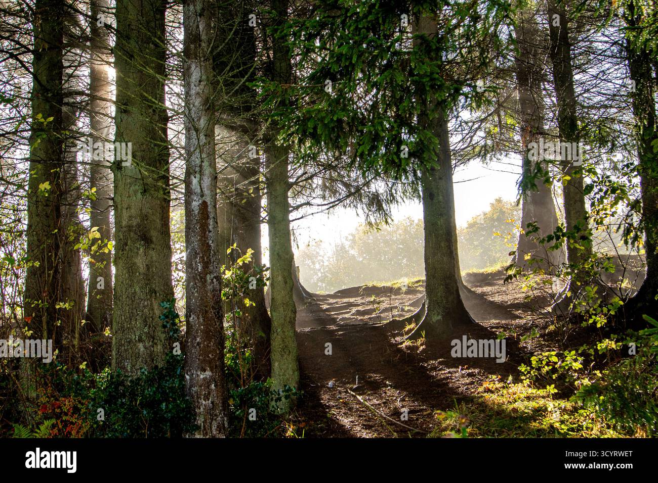 Dundee, Tayside, Scotland, UK. 20th Oct, 2025. UK Weather: The eerie ...