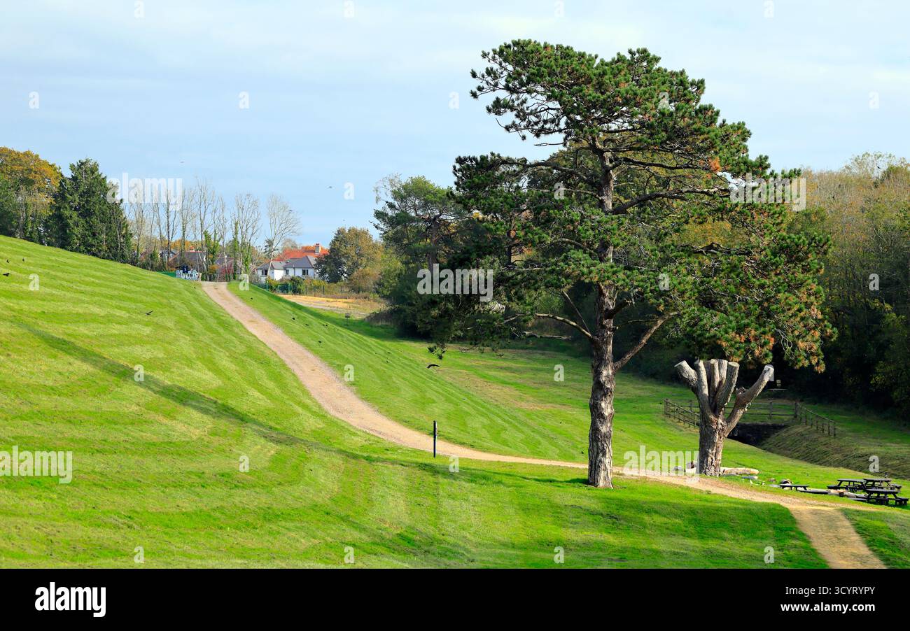 Parkland with path and interesting grass mowing patterns. Llanishen ...