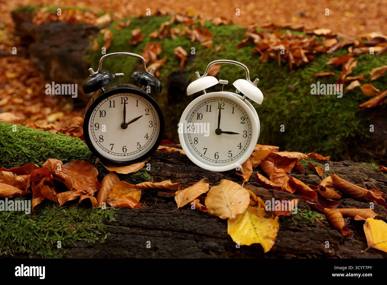 Zwei Wecker stehen in einem Wald im bunten Herbstlaub. Ein Wecker zeigt ...