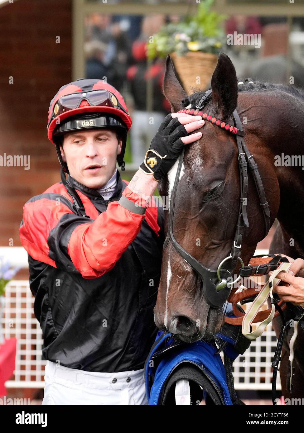 Shayem with jockey Clifford Lee after winning the British Stallion ...