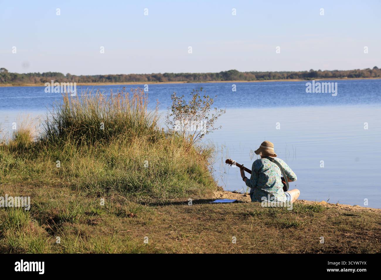 Lacanau Lake. Autumn day on the shores of Lacanau Lake near the ...