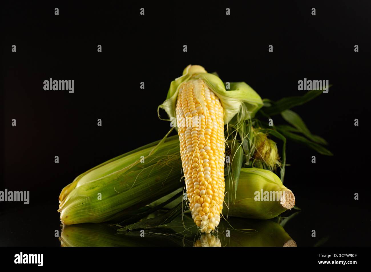 macro image of corn cob with leaves on black background Stock Photo - Alamy