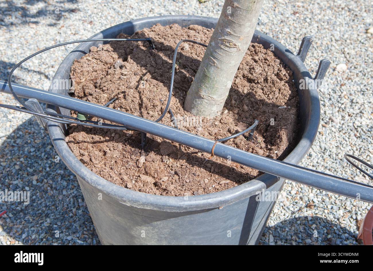 Drip irrigation plant pots hi-res stock photography and images - Alamy