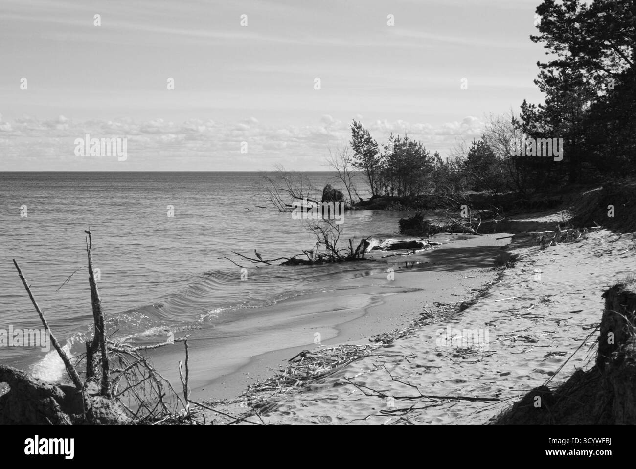 Baltic Sea shoreline near Kolkas Rags, Latvia — sandy beach and coastal ...