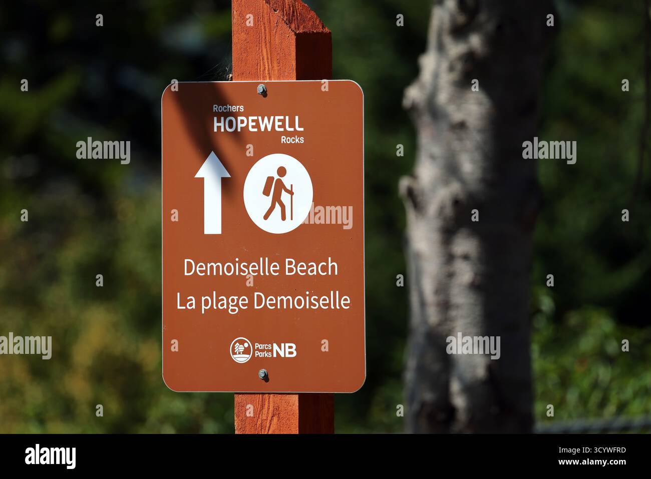 Trail Sign to Demoiselle Beach at Hopewell Rocks Provincial Park Stock ...