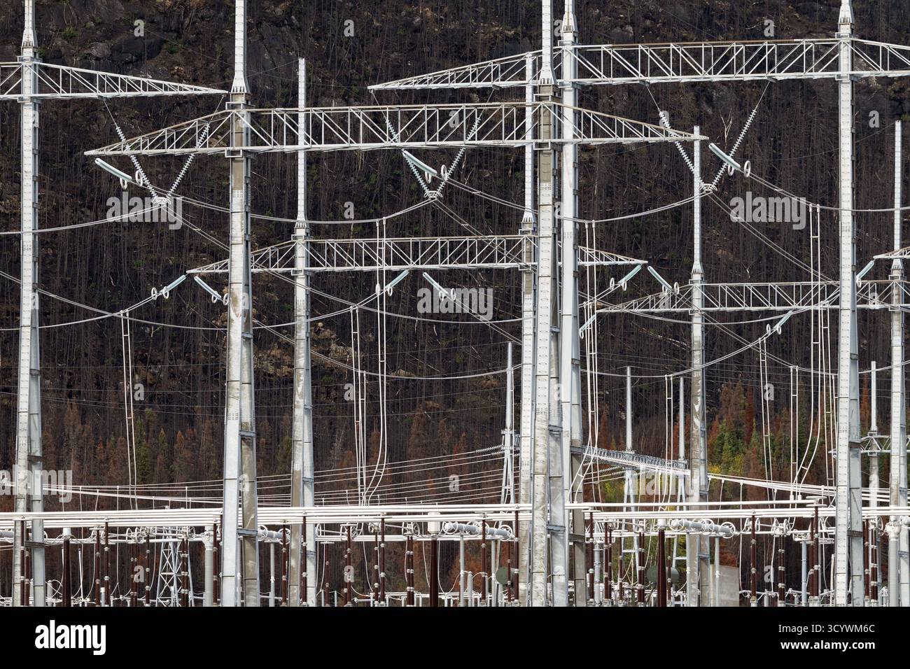 Complex network transmission structures hi-res stock photography and ...