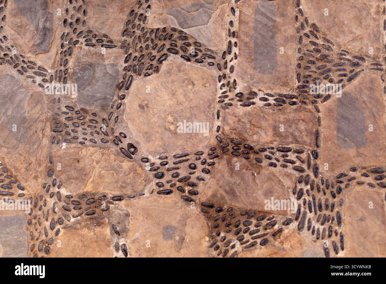 Detail of a traditional pebble mosaic pattern on a stone pavement in ...