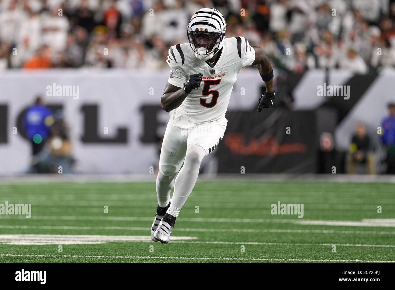 Cincinnati Bengals wide receiver Tee Higgins (5) runs aa route during ...