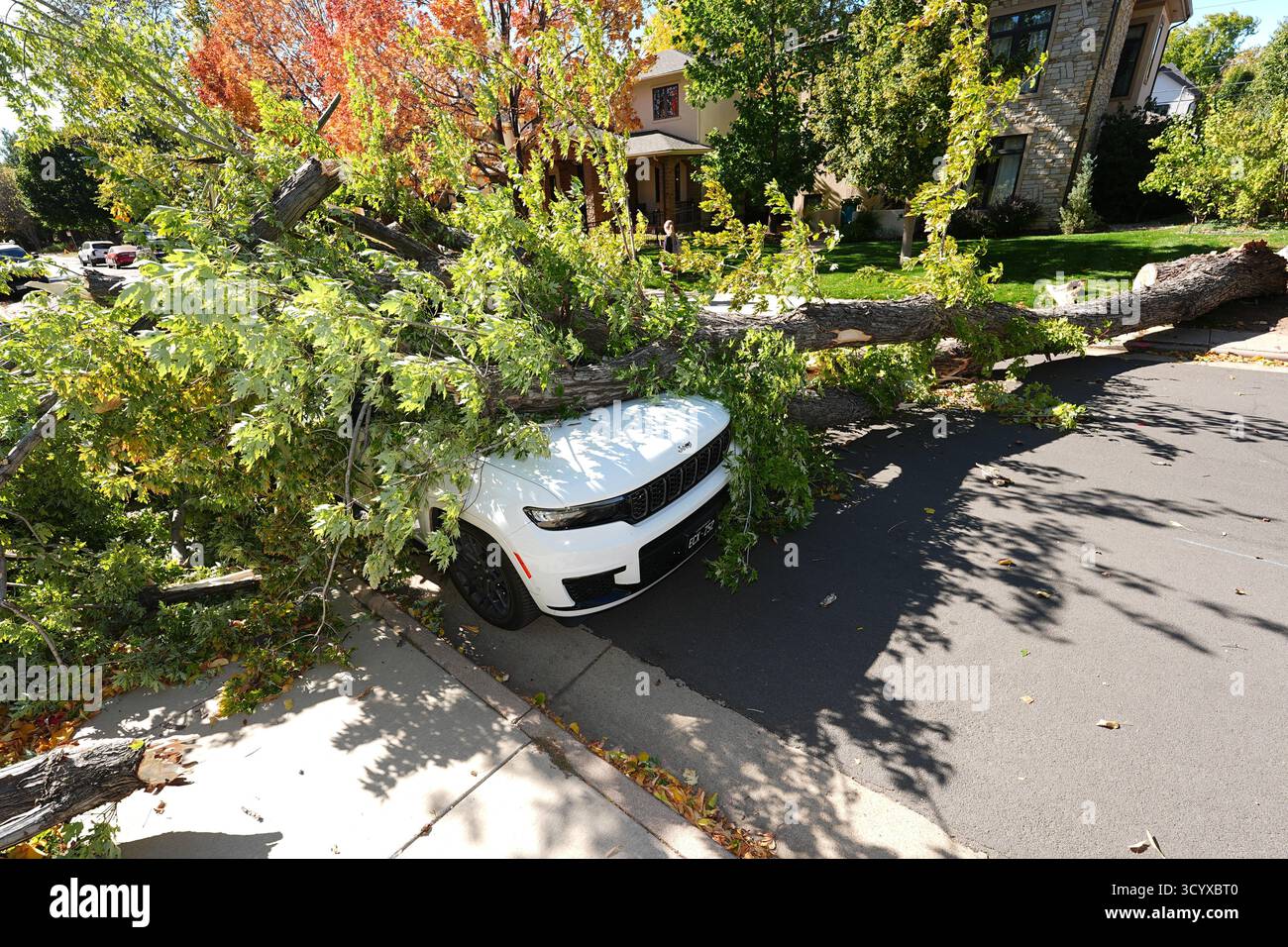Strong winds, some reaching up to 40 miles-per-hour, sheared off part ...
