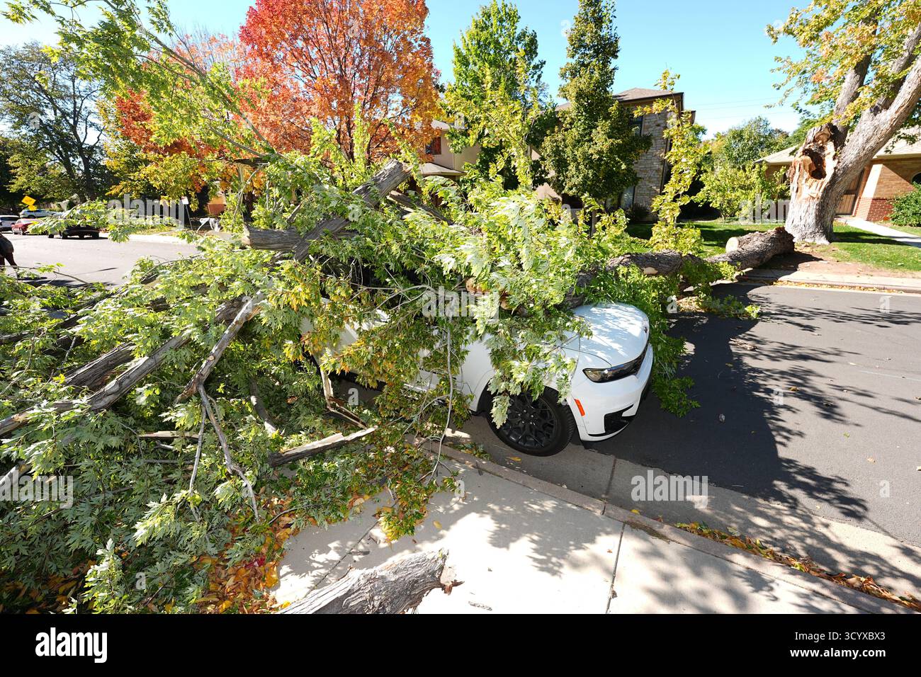 Strong winds, some reaching up to 40 miles-per-hour, sheared off part ...