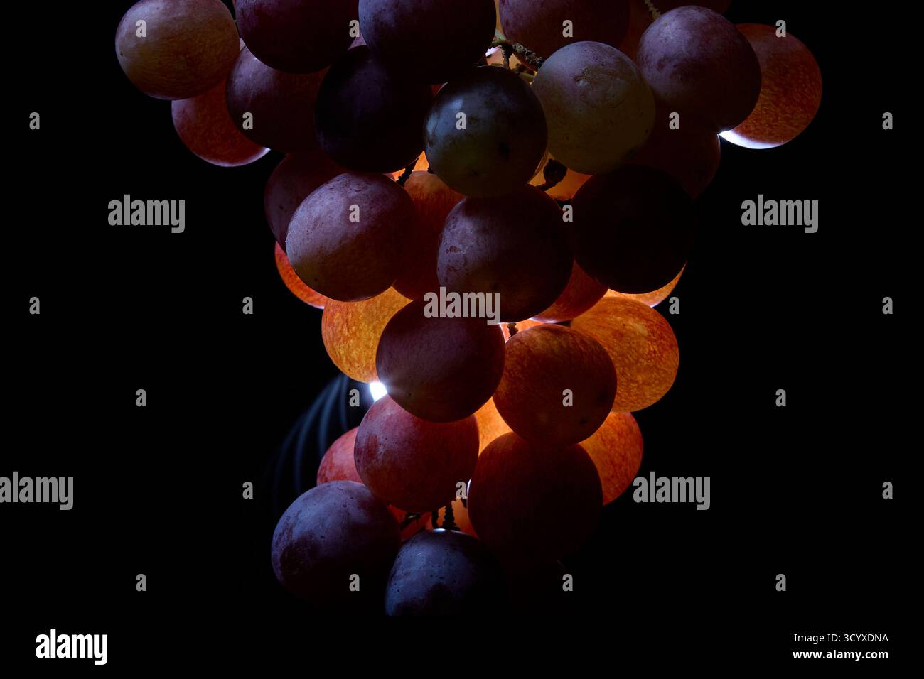 Studio photo of grapes illuminated with warm tones against a dark ...