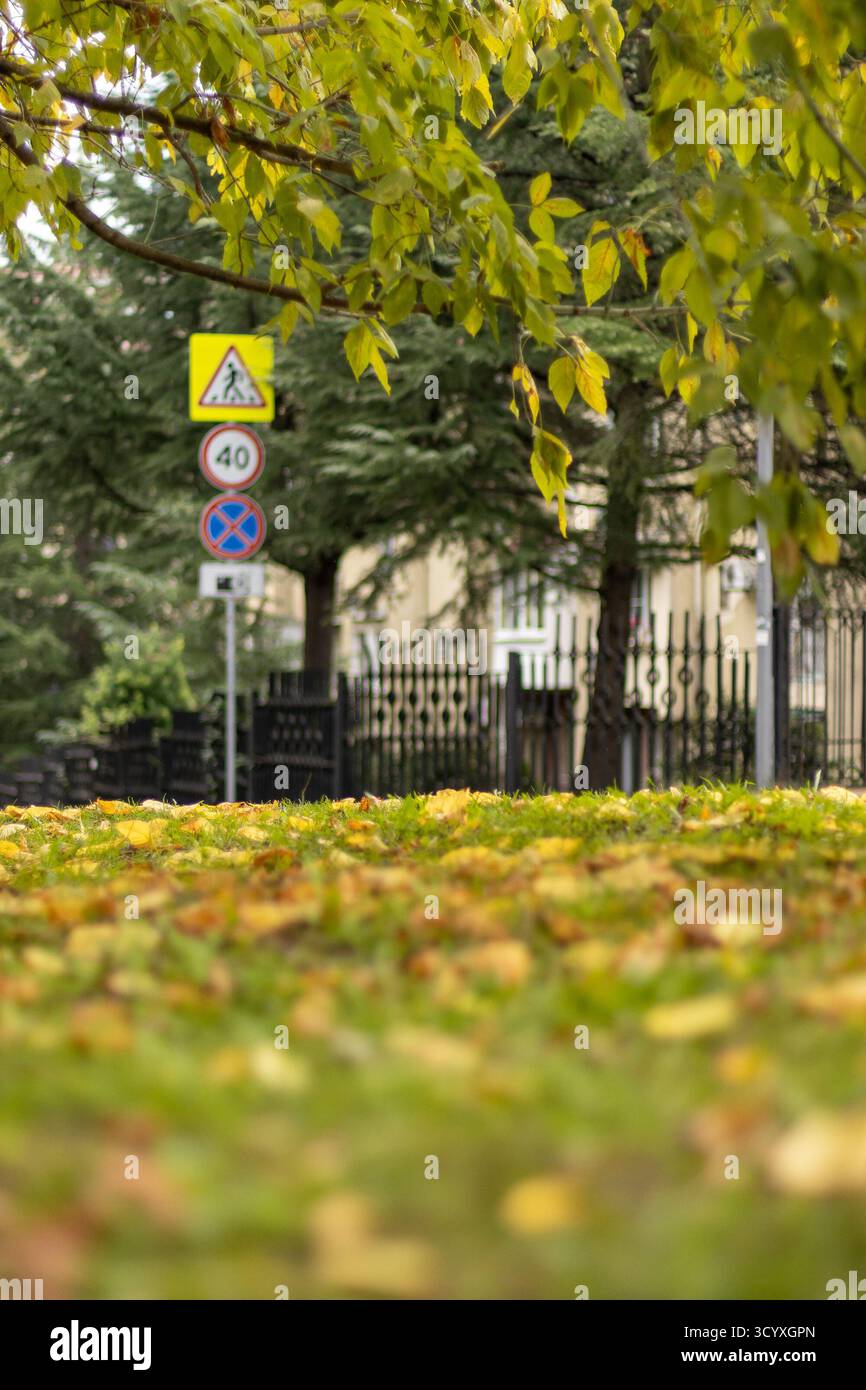 Road Signs Under Autumn Trees. Yellow hazard triangle, 40 km/h speed ...