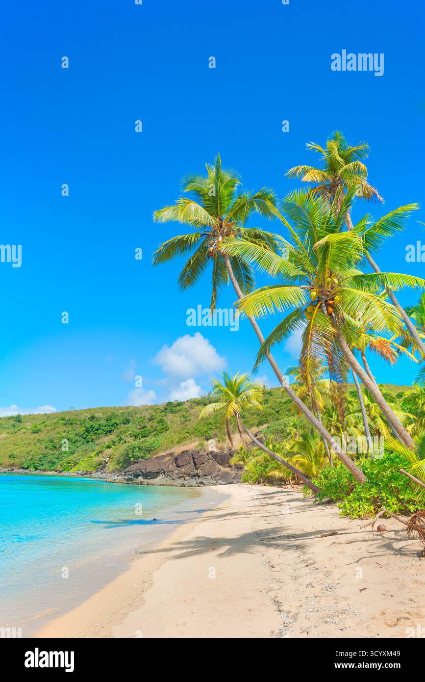 Tropical sandy beach, Drawaqa Island, Yasawa islands, Fiji Stock Photo ...