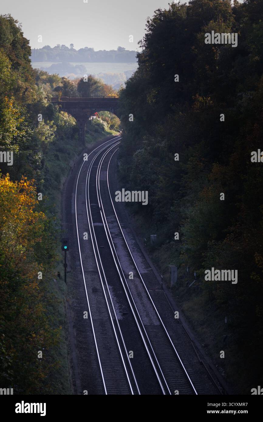 Railway tree hi-res stock photography and images - Alamy