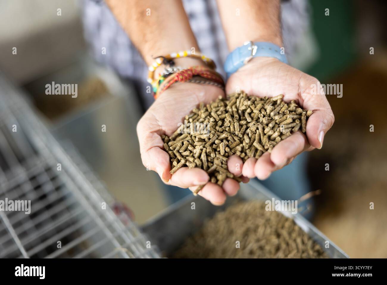 Animal feed in farmer hands Stock Photo - Alamy