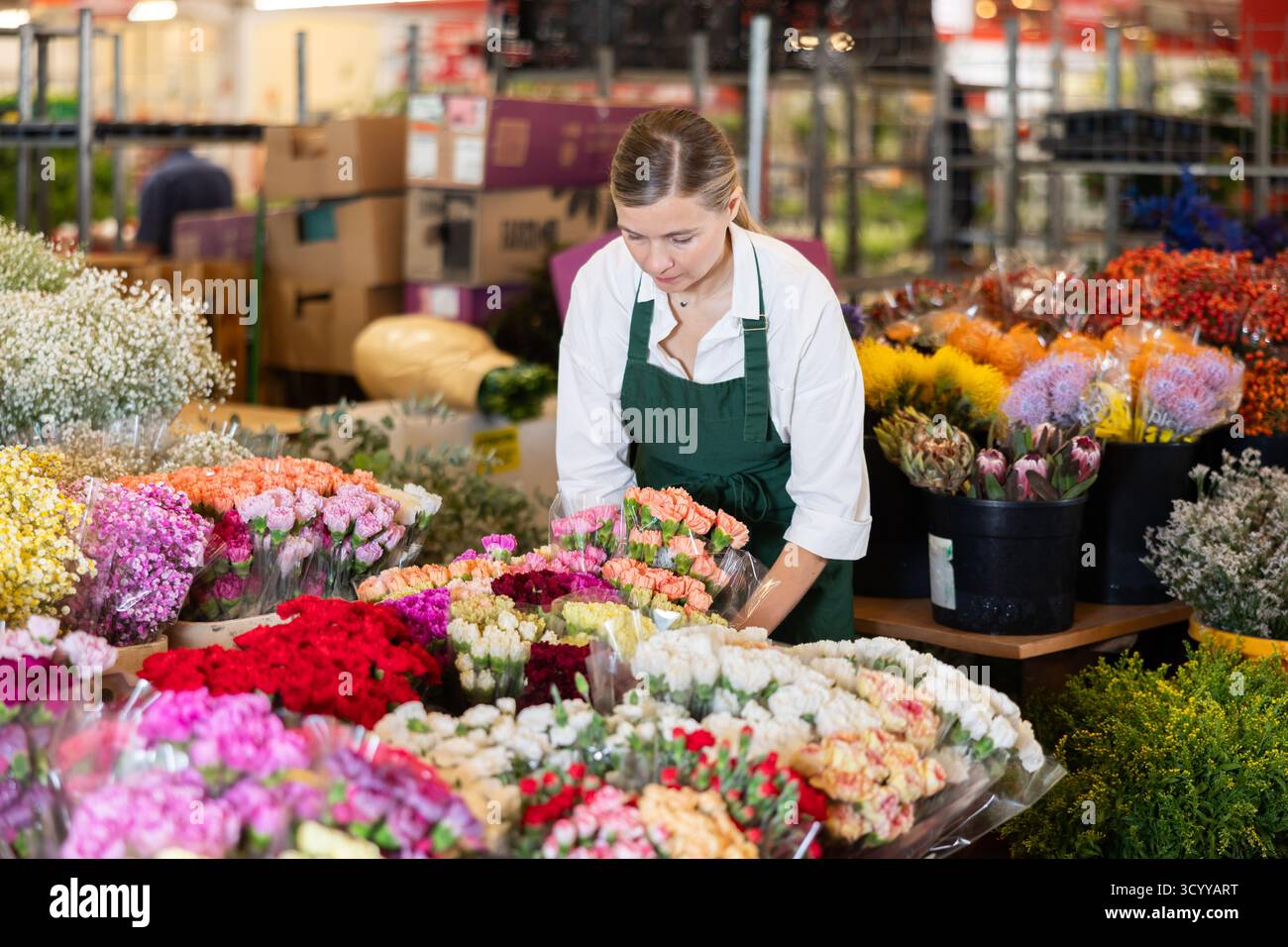 Female employee uses carnation flowers to create bouquet Stock Photo ...