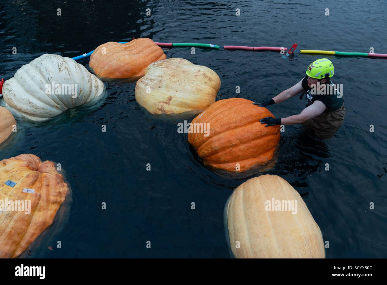 Josh Murche moves a giant pumpkin after it was placed into the water ...