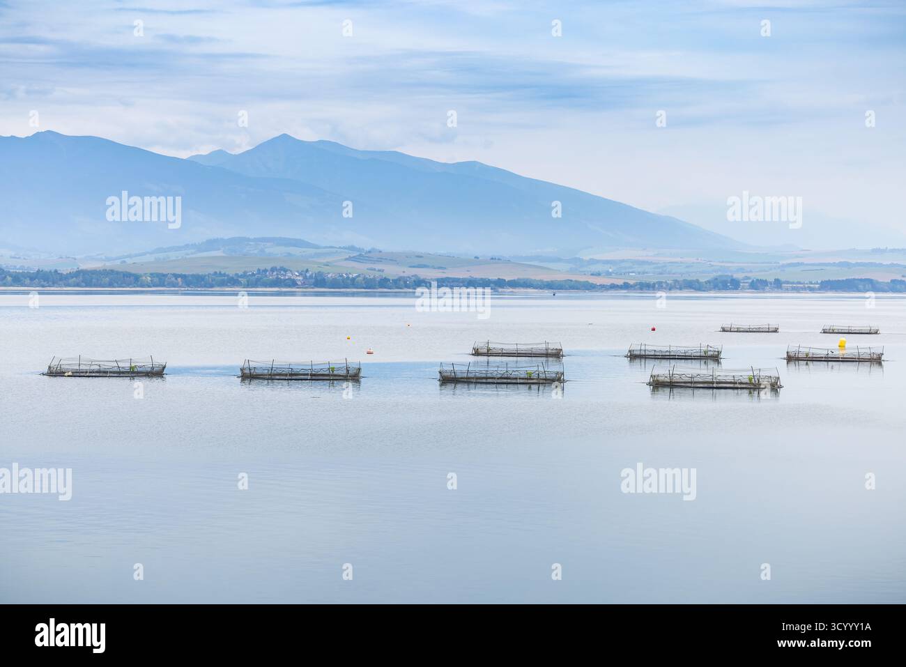 Cages for fish farming in natural river or pond in a morning light ...