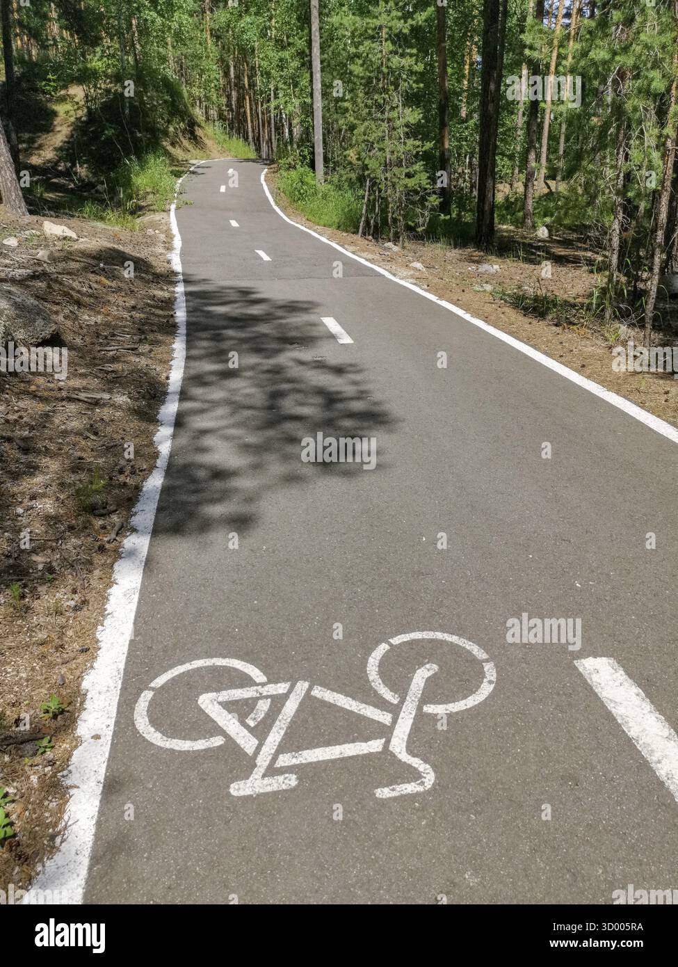 Asphalt bicycle road in a forest Stock Photo - Alamy