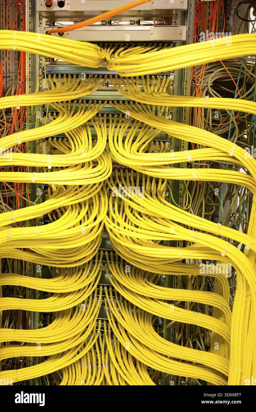 Yellow RJ45 copper cable - network cable in a network distribution rack ...