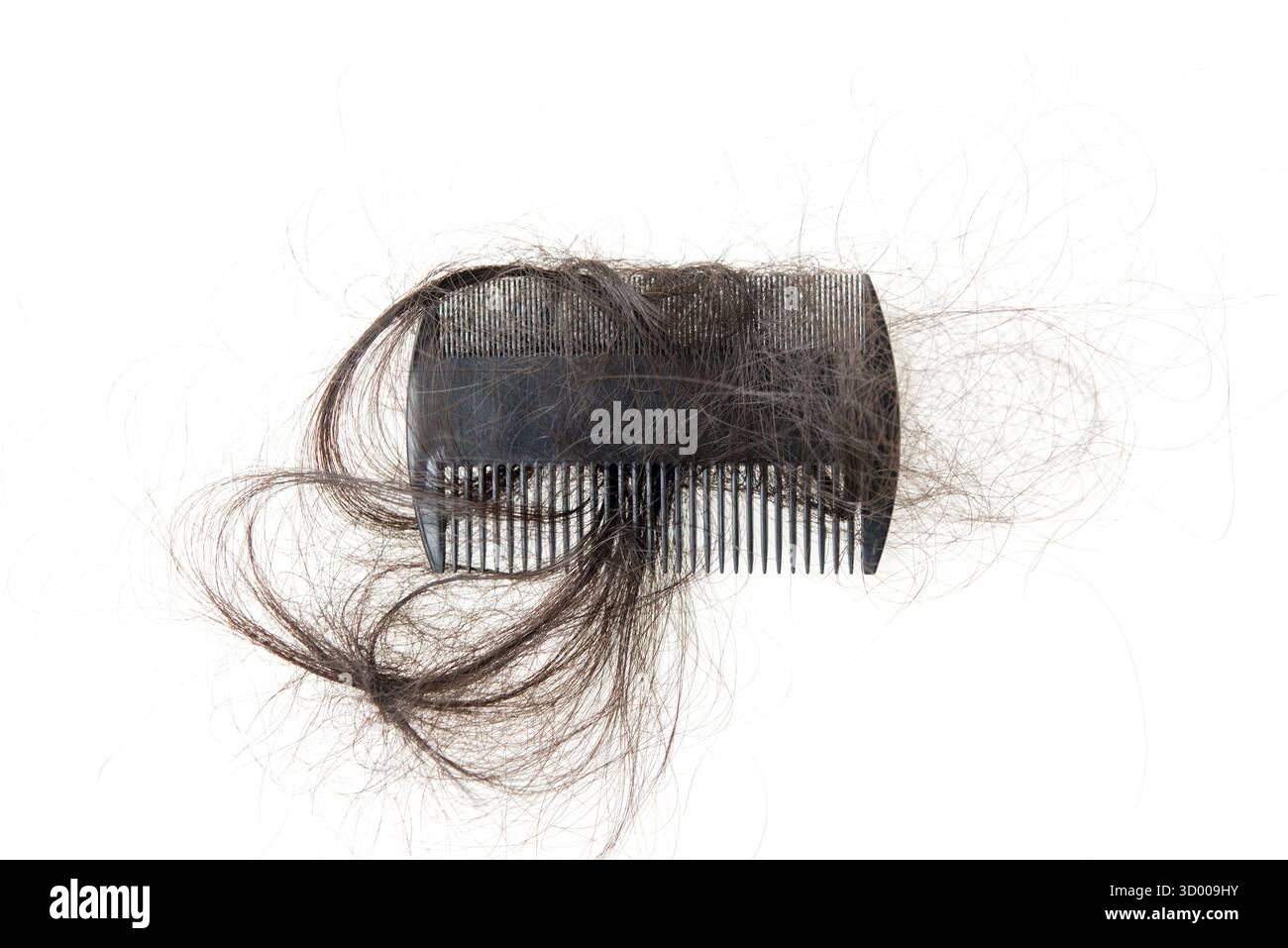 Hairloss problem. Flat lay top view comb with lost hair on it, isolated ...