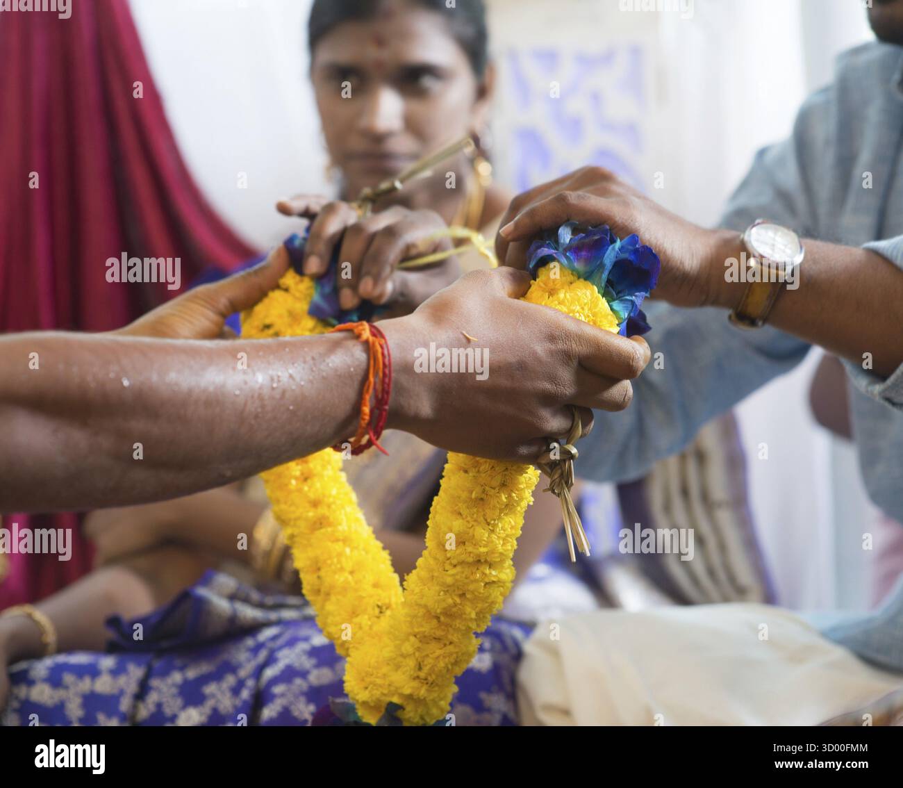People received flower garland from priest. Traditional Indian Hindus ...