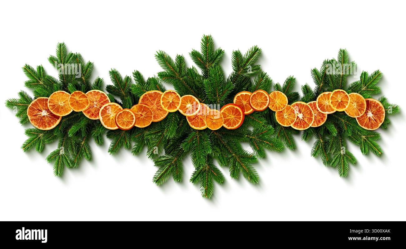 Christmas tree branches dried Cut Out Stock Images & Pictures - Alamy