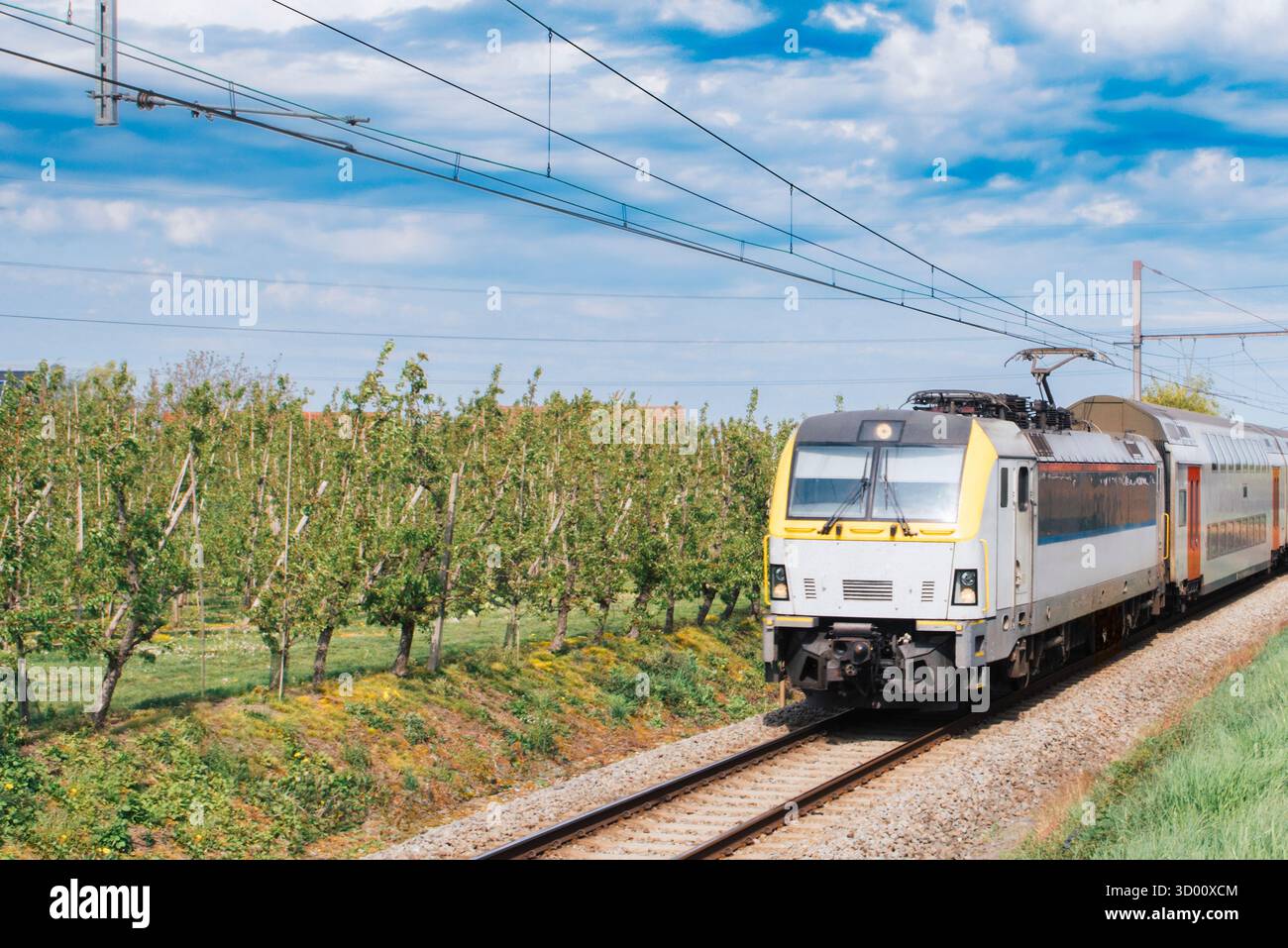 Electric train moving through fields in the countryside Stock Photo - Alamy