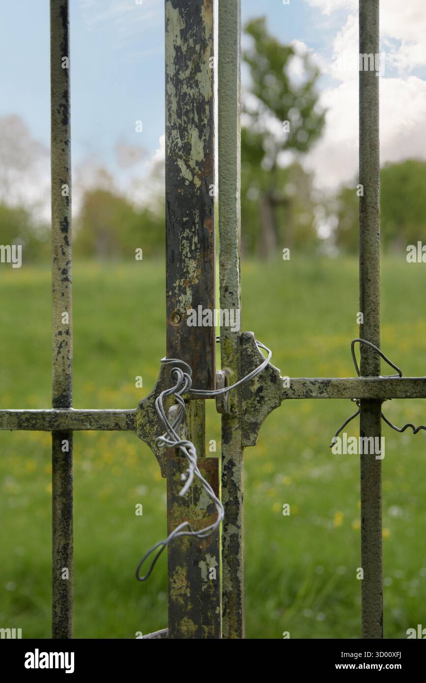 Iron gates on a plot of land without a lock, secured with metal wire ...