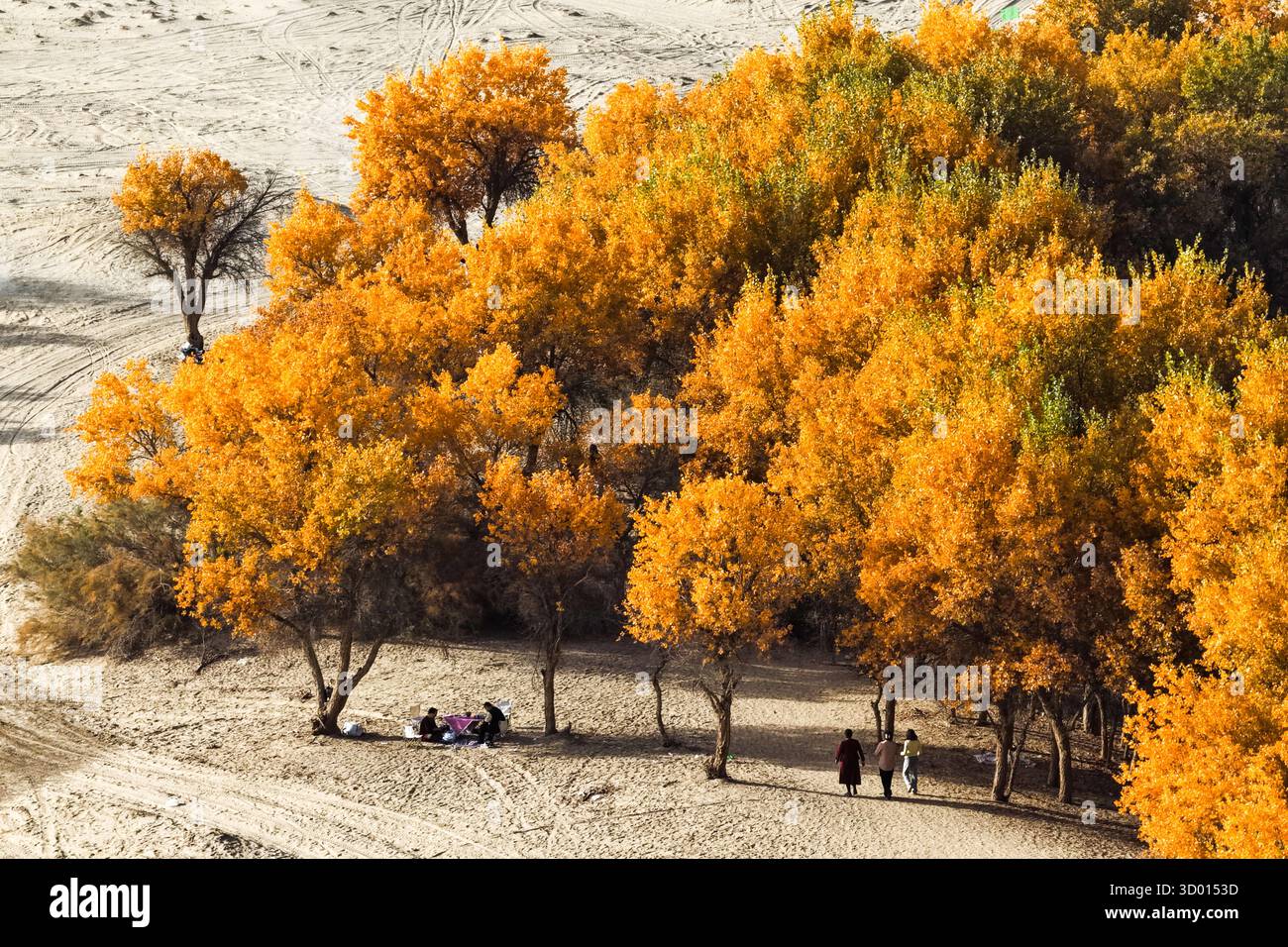 (251021) -- HOTAN, Oct. 21, 2025 (Xinhua) -- A drone photo taken on Oct ...