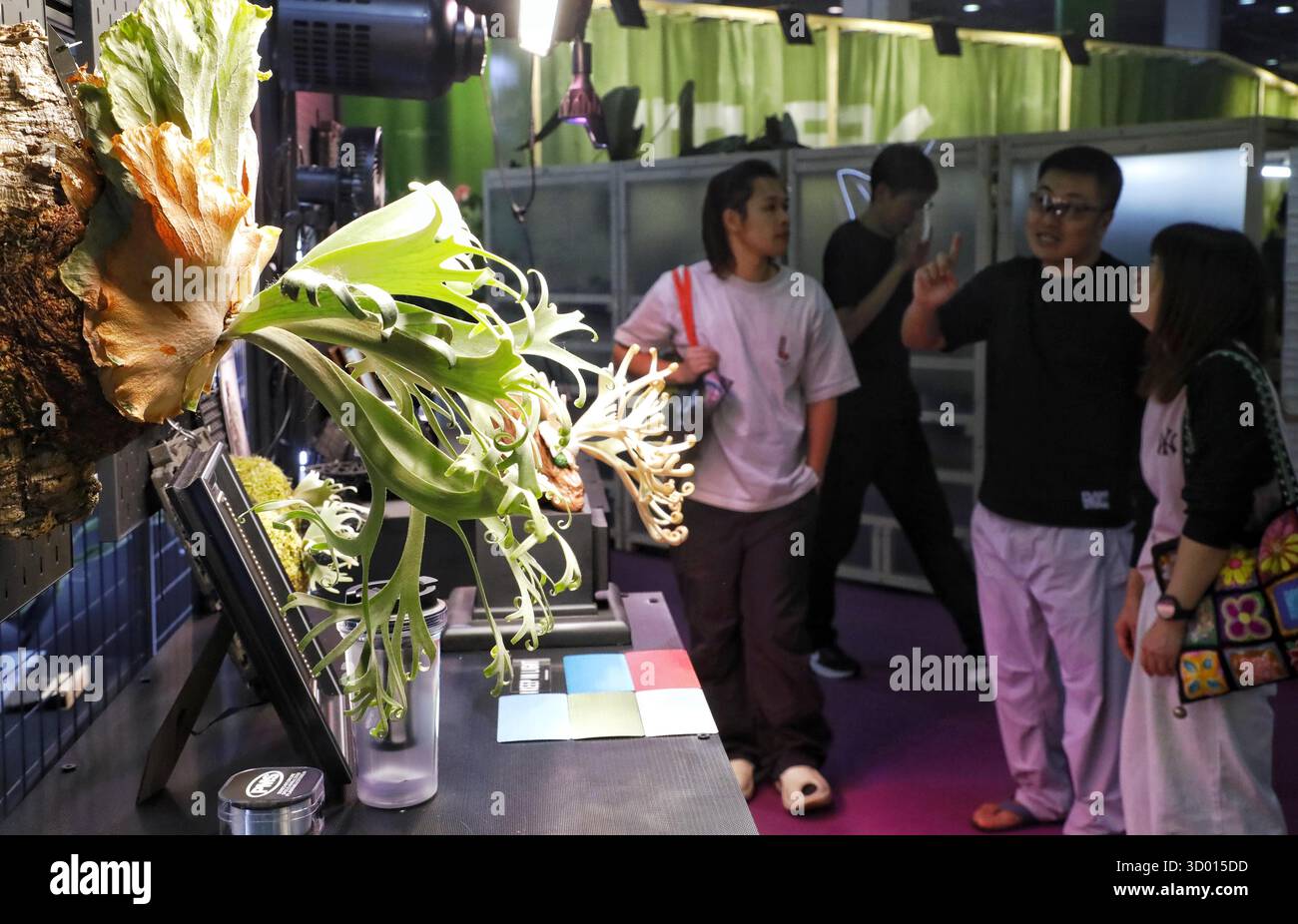 The 3rd CFIC China Flower Industry Conference & Wuxi Flower Trade ...