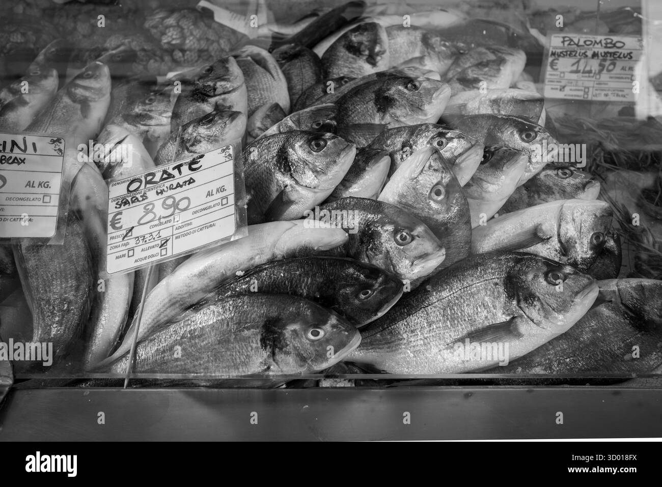 Seafood market supply Black and White Stock Photos & Images - Alamy