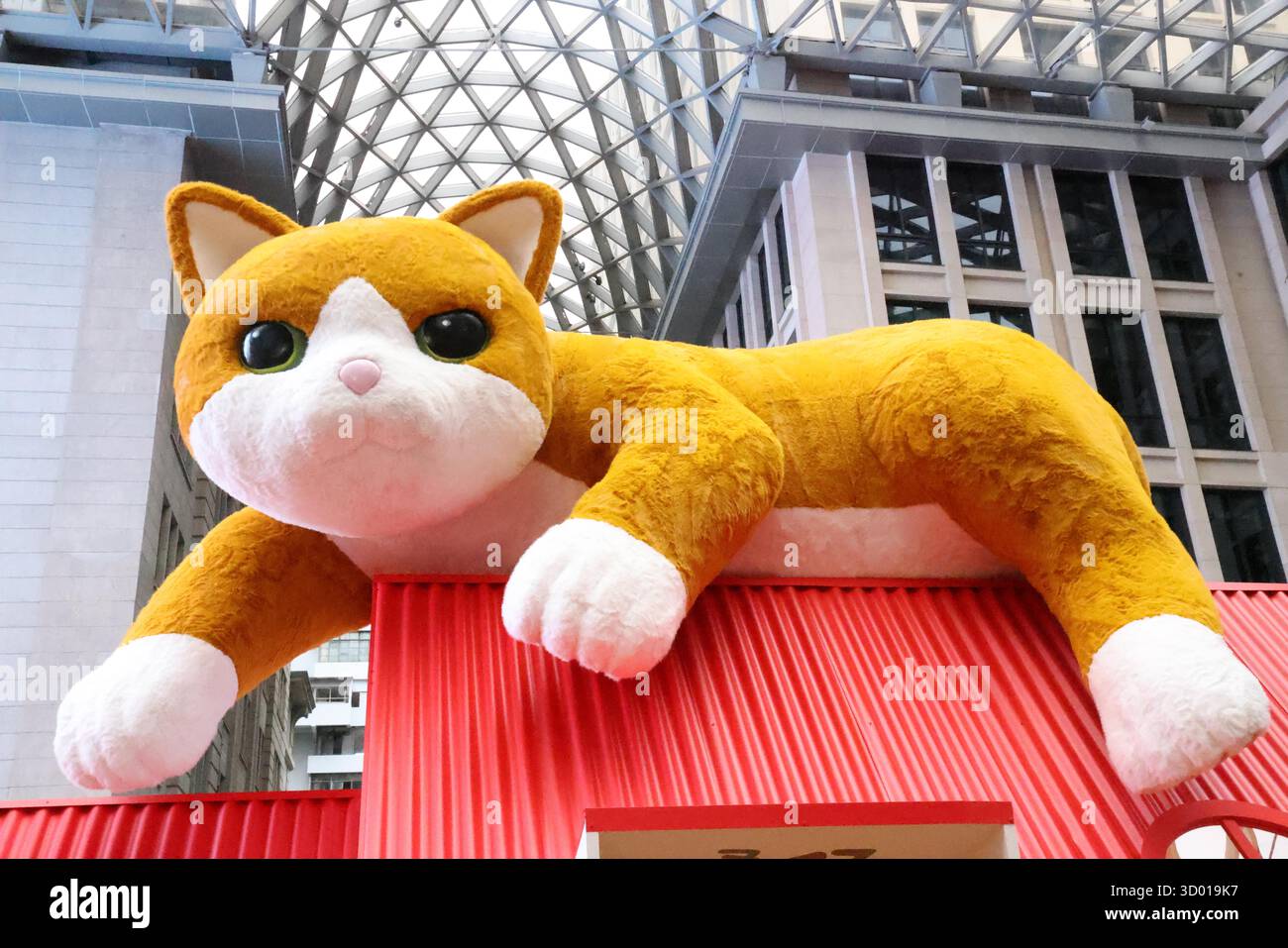 A giant cat installation on Nanjing Road attracts visitors in Shanghai ...