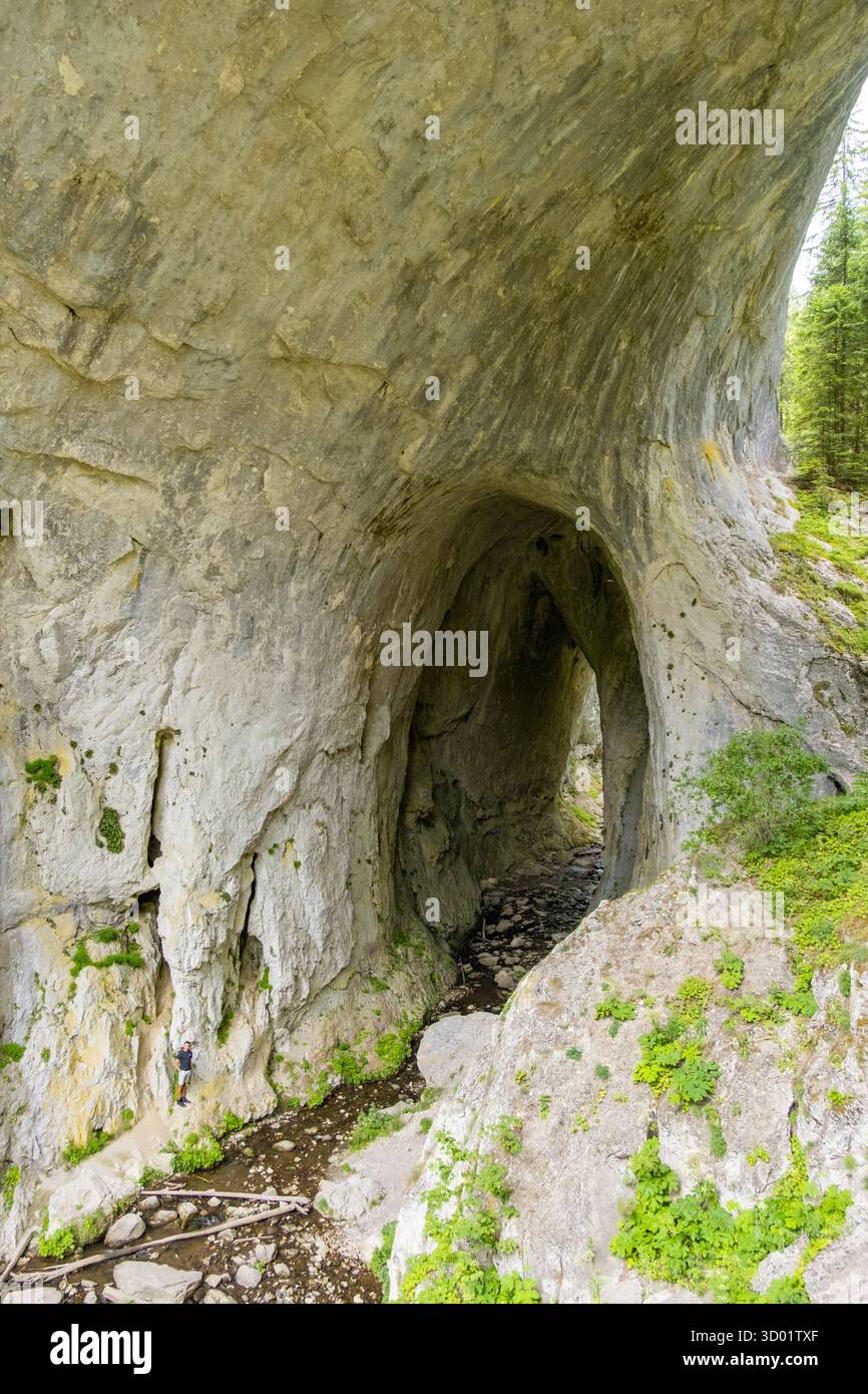 Bulgaria, Smoljan province, Rhodope Mountains, Zabardo, natural arches ...