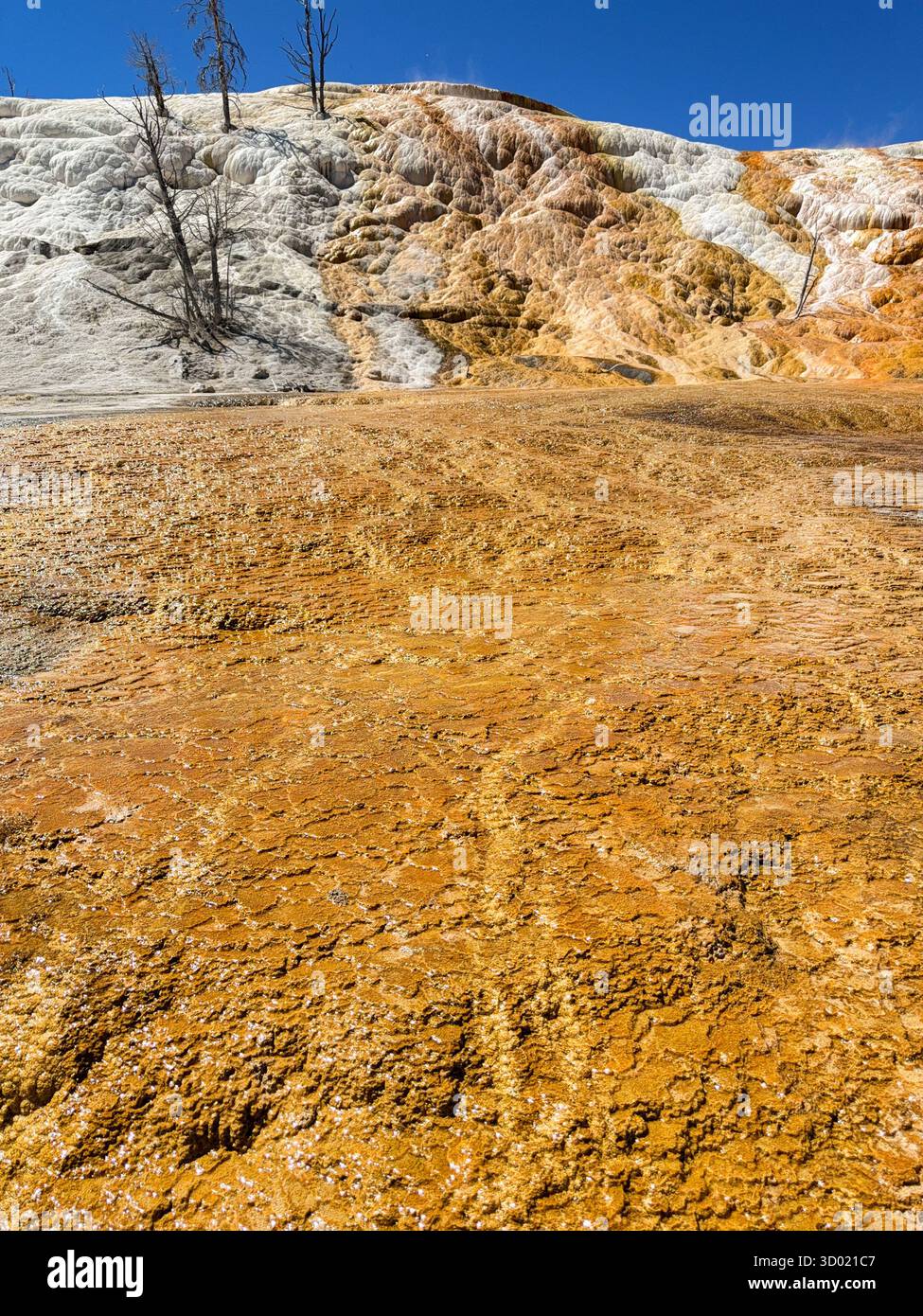 Calcium travertine terraces in smartphone stock photos and images - Alamy