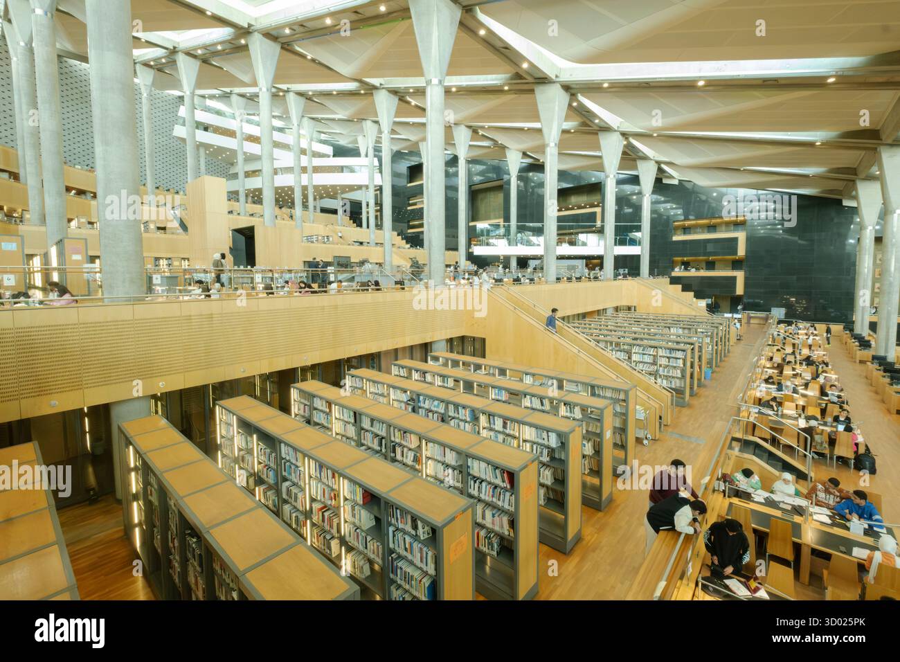 Students studying at bibliotheca alexandrina library,Alexandria, Egypt ...