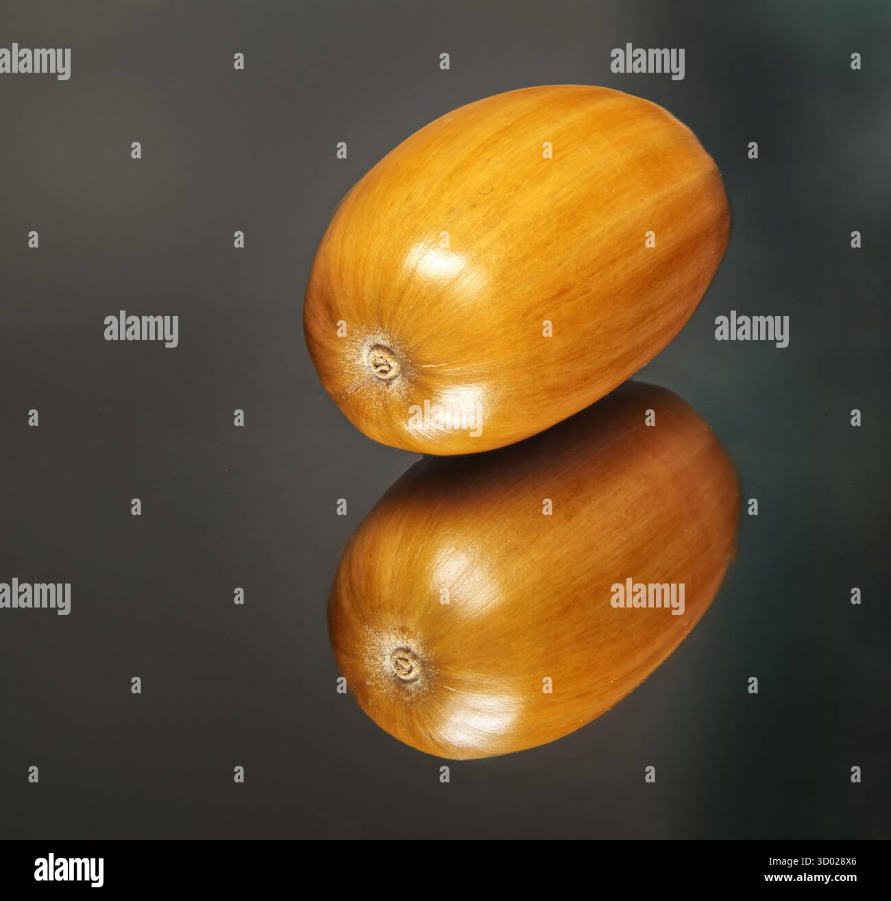 Golden acorn on green hi-res stock photography and images - Alamy