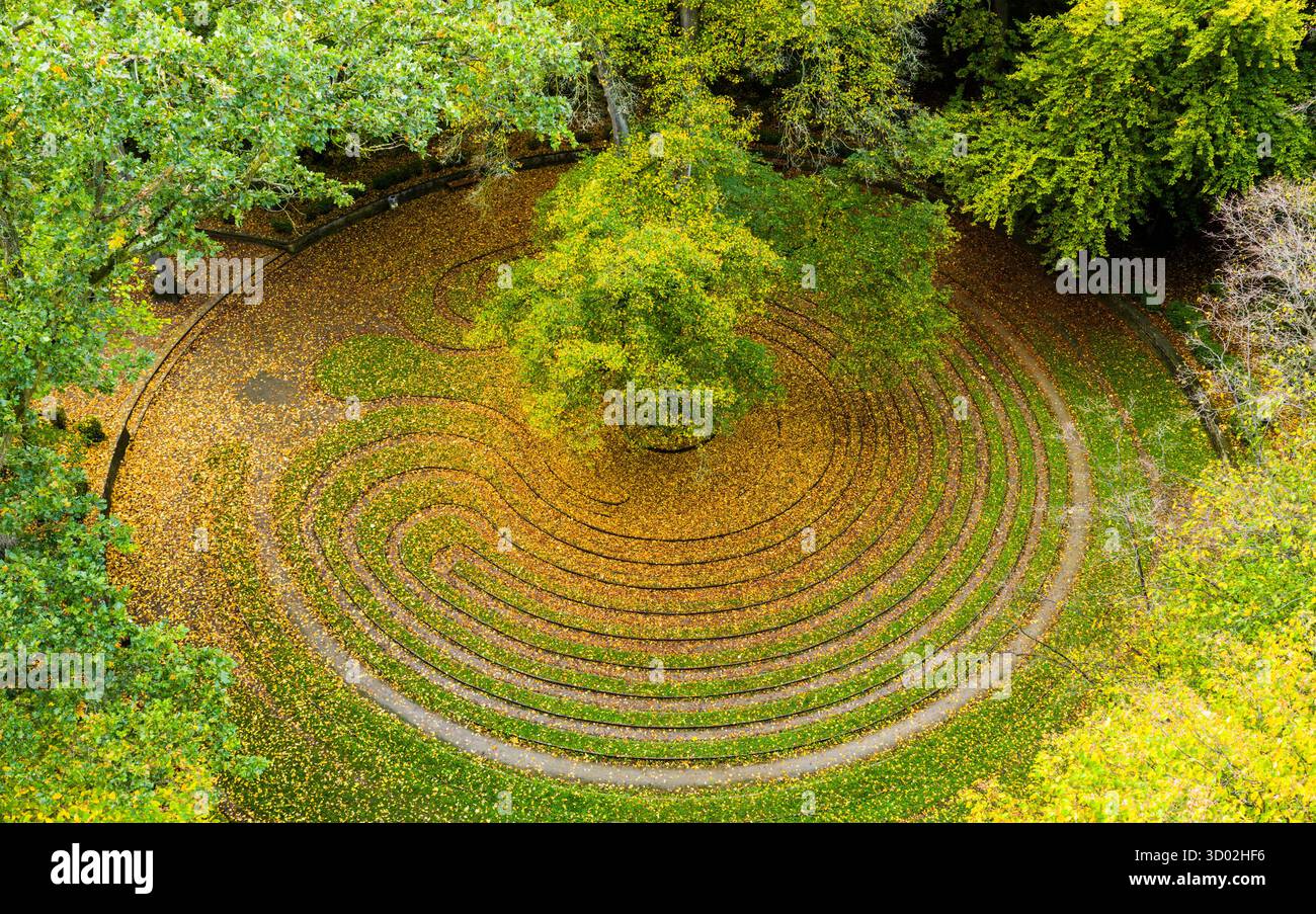 Hanover, Germany. 21st Oct, 2025. Autumn-colored leaves lie in the ...
