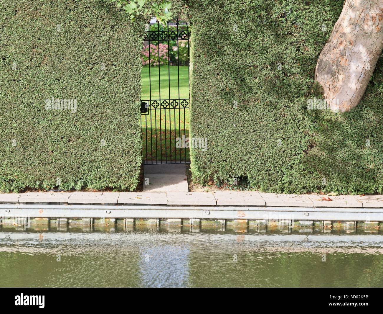 Boundary hedge of a house by the Grand Union Canal near the Union Wharf ...
