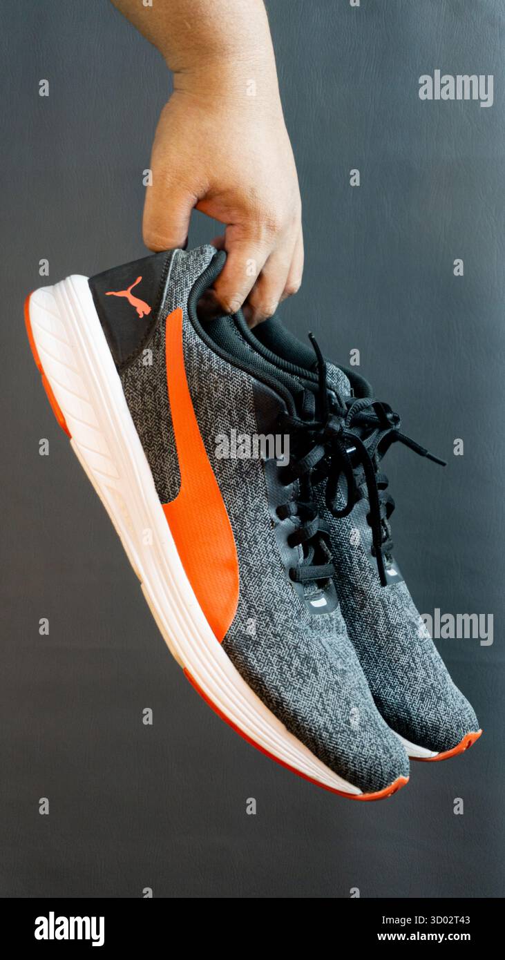 South Kalimantan, Indonesia - 07 30 2025 : Grey and red Puma running ...