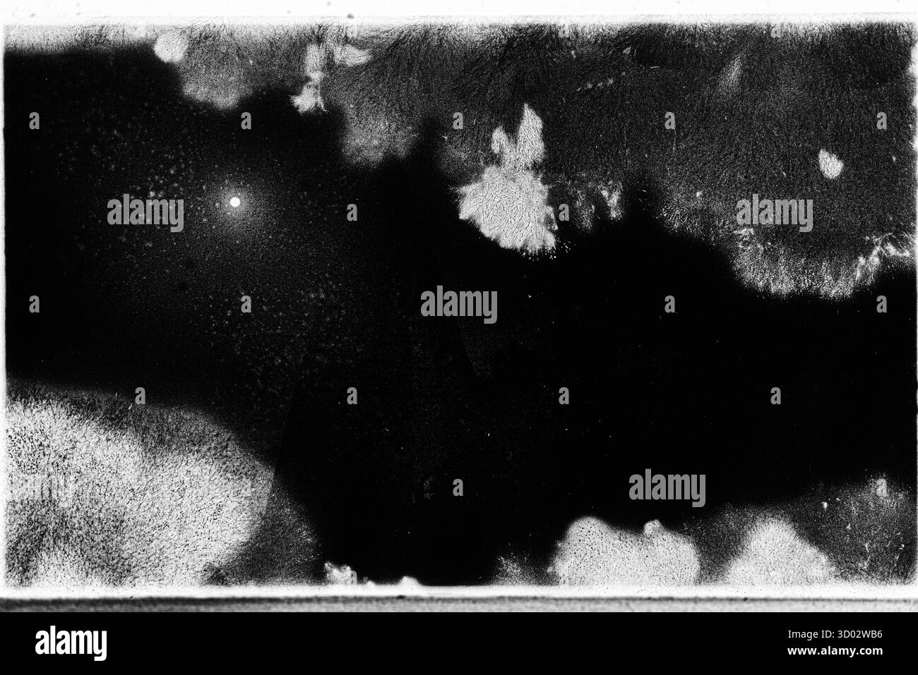 Abstract black and white photograph showing a rough, weathered surface ...