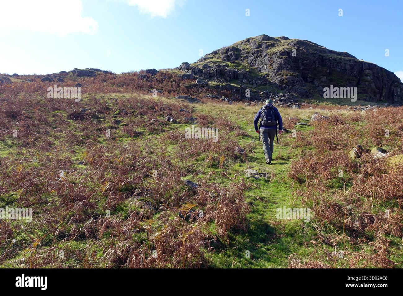 Single Man (Hiker) Walking on Path Though Bracken to the Crags on 'Seat ...